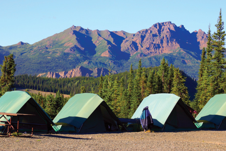 11 Best Campgrounds For RVs In Alaska