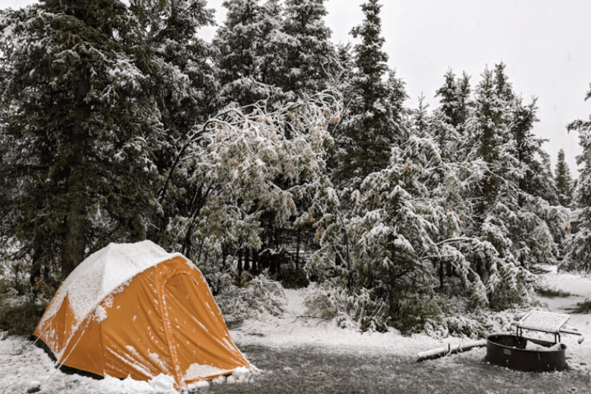 Teklanika River Campground - Explore Denali National Park