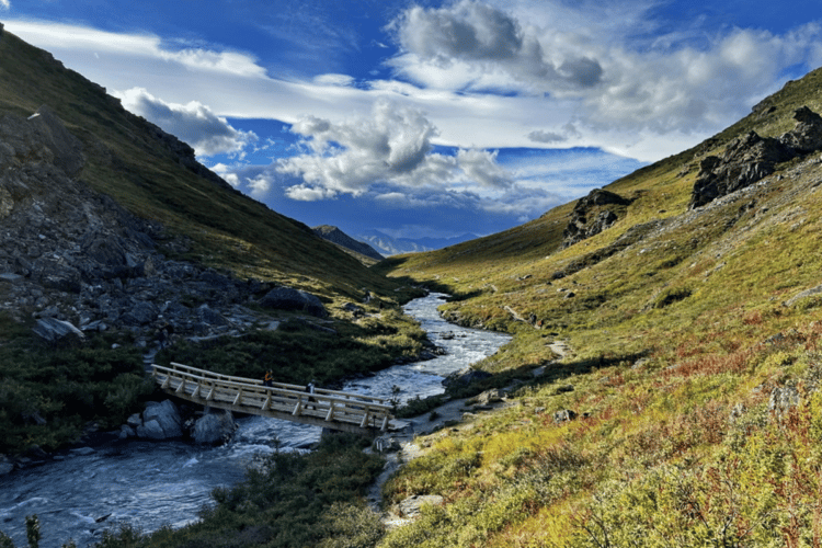 12 Hiking And Backpacking Trips In Denali National Park