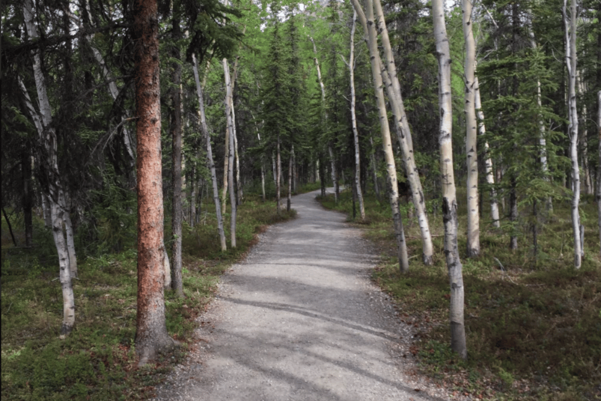 12 Hiking And Backpacking Trips In Denali National Park