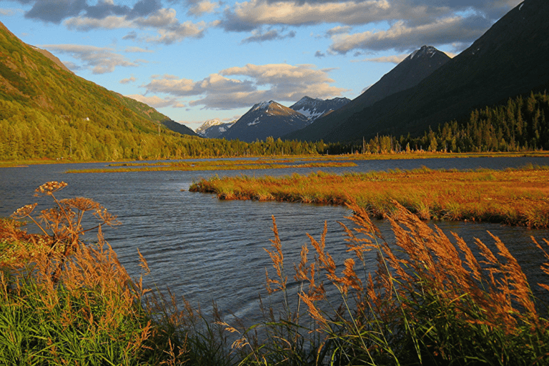 11 Of Our Favorite Things To Do In Cooper Landing, Alaska