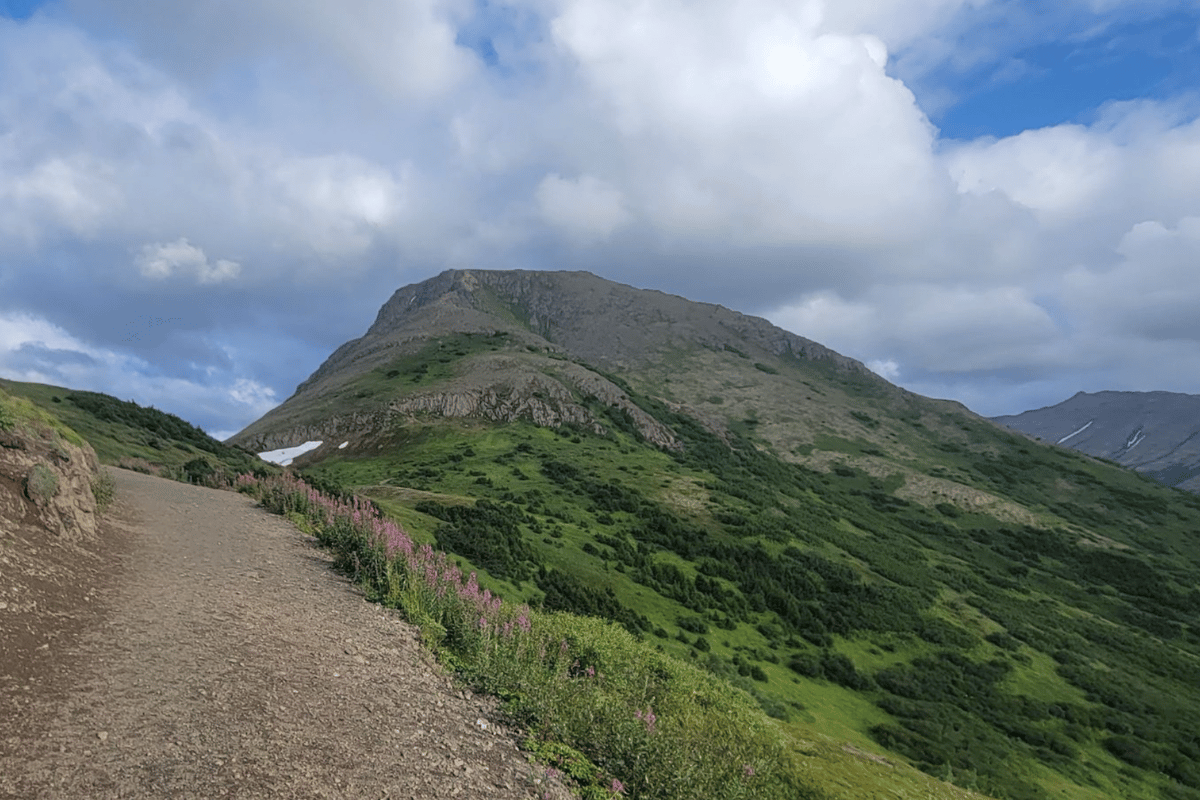 25 Places To Go Berry Picking In Alaska