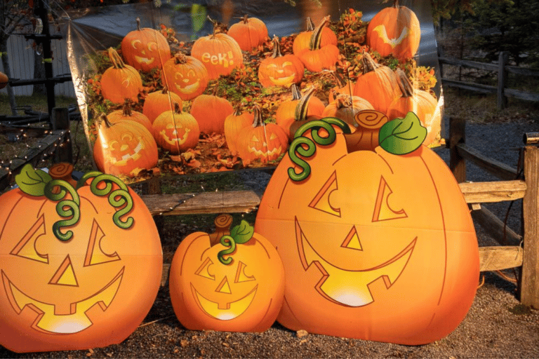 17 Things To Do In Alaska In October To Experience Fall