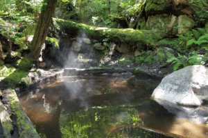 11 Best Hot Springs In Alaska To Relax You