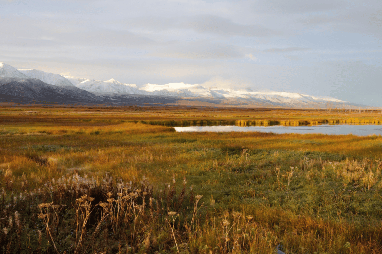 11 Best Hot Springs In Alaska To Relax You