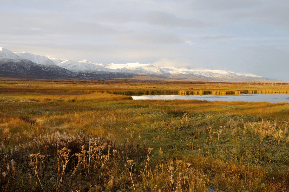 11 Best Hot Springs In Alaska To Relax You