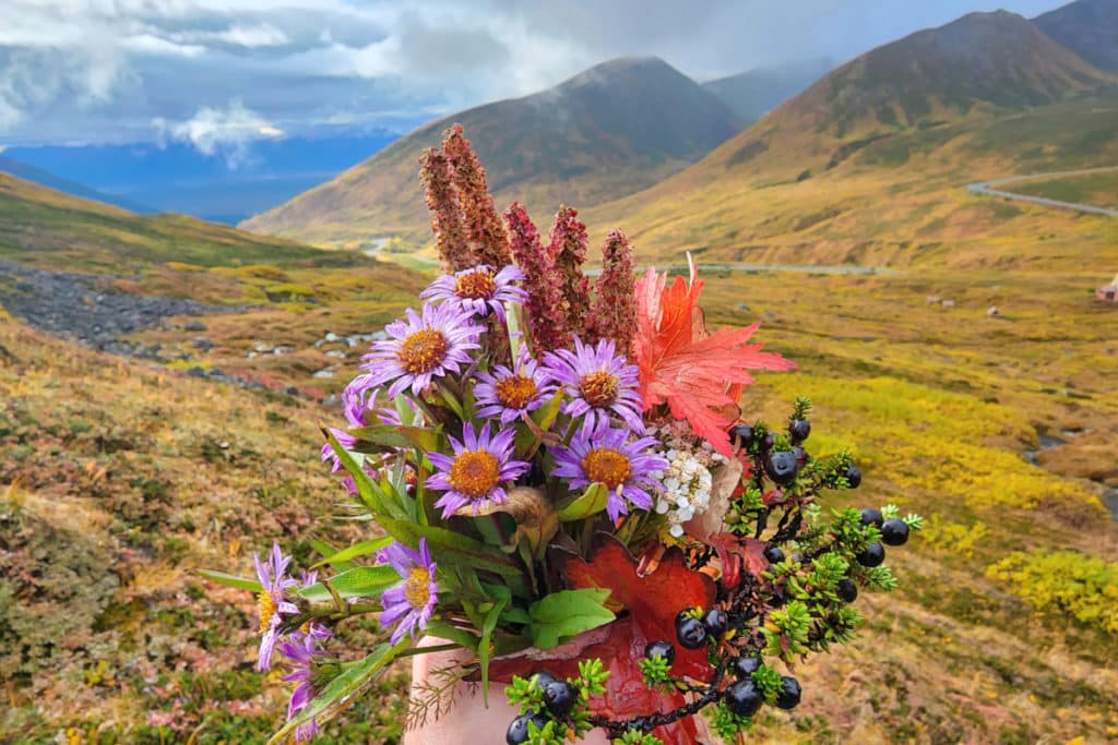 Alaska's Pika Township & Marmot Village | A Truly Rare Hike