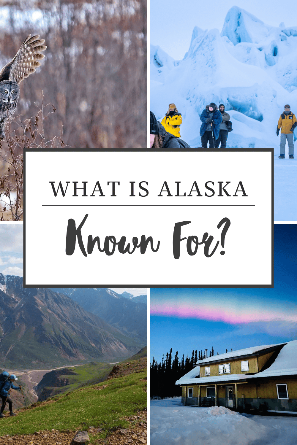 What Is Alaska Known For? Top 12 Things People Know Of AK