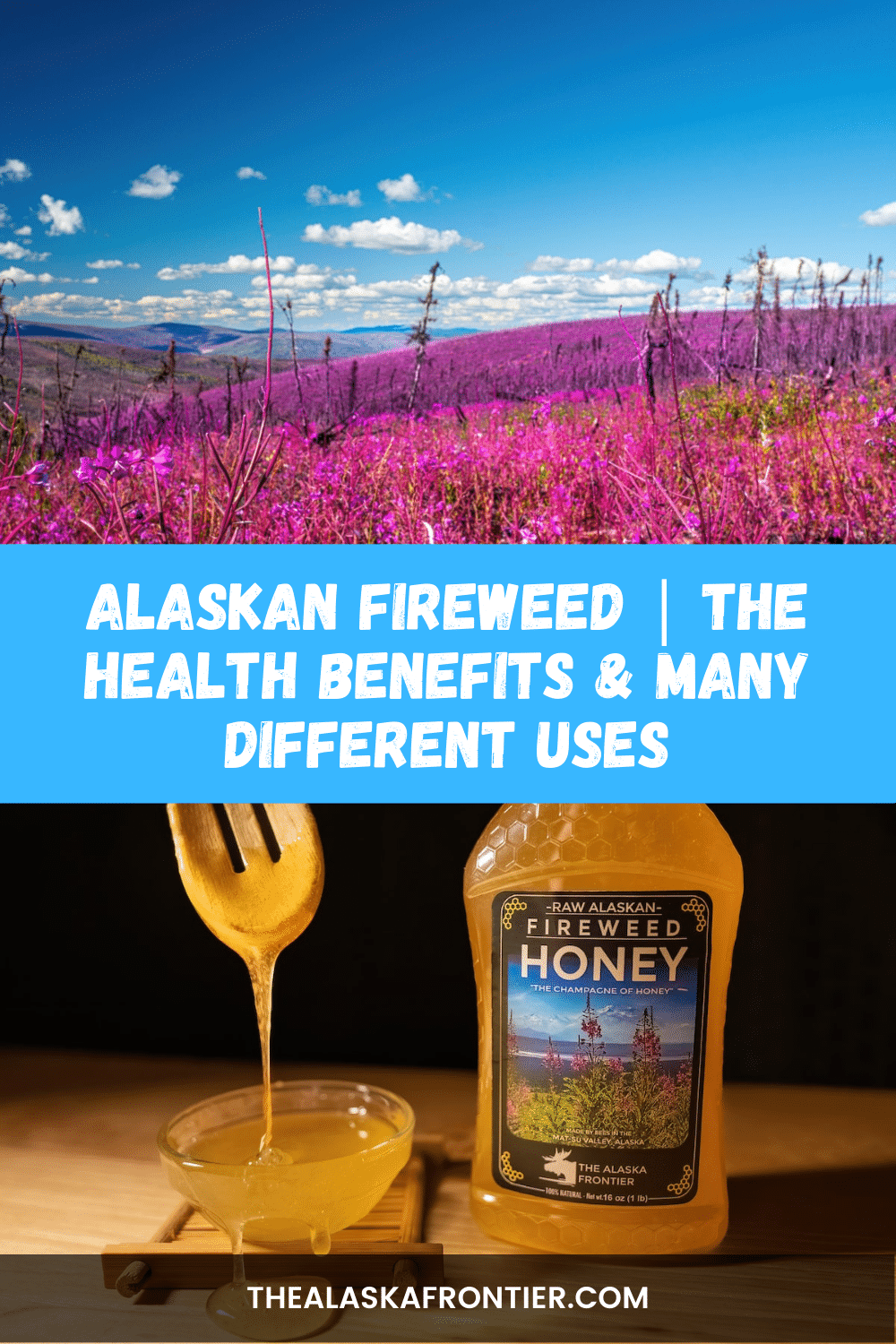 Alaskan Fireweed | The Health Benefits & Many Different Uses