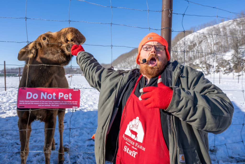The Williams Reindeer Farm: A Very Surprising Alaskan Tour