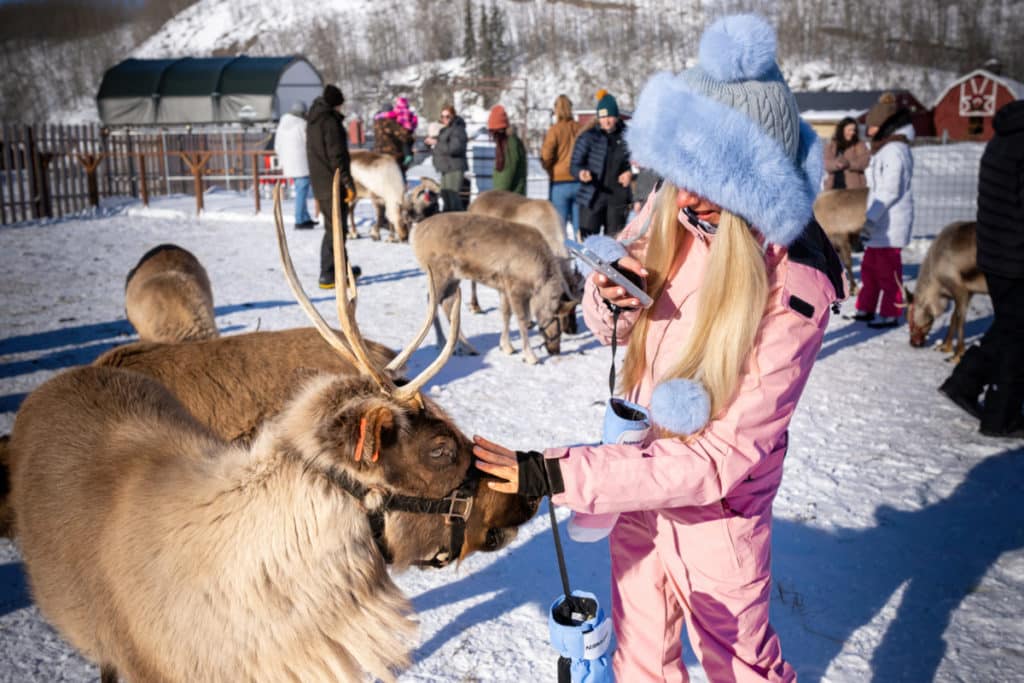 The Williams Reindeer Farm: A Very Surprising Alaskan Tour