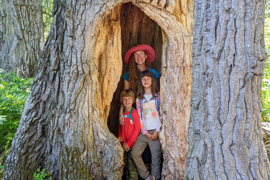 Top 10 Easiest Hikes In Anchorage Alaska For The Family