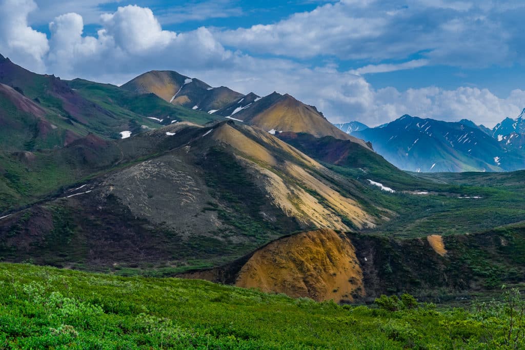 5 Best Bear Viewing Spots In Alaska | What You Need To Know