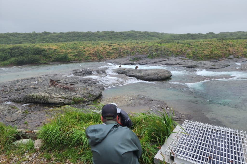 The Ultimate Guide To McNeil River State Game Sanctuary