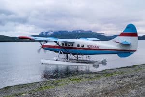 The Ultimate Guide To McNeil River State Game Sanctuary