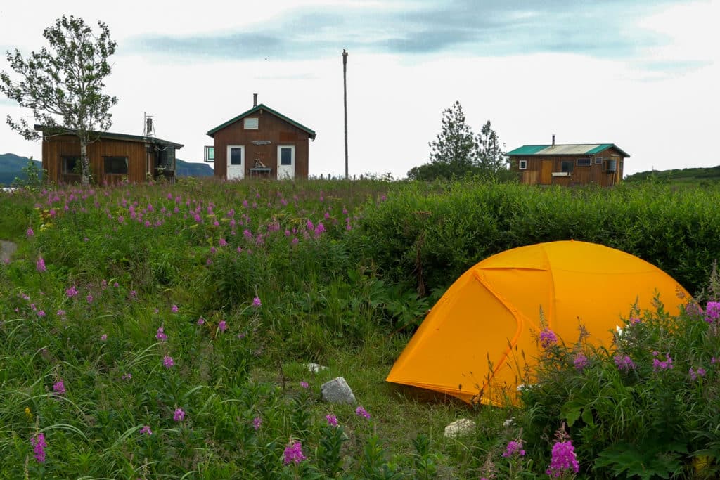 The Ultimate Guide To McNeil River State Game Sanctuary