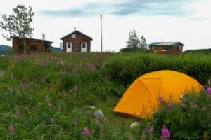 The Ultimate Guide To McNeil River State Game Sanctuary